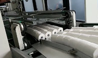 Automatic bath tissue paper roll bundle packing machine